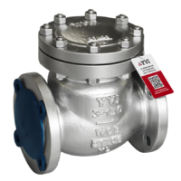 Bolted Bonnet Swing Check Valves (API 594) - YVI Valve